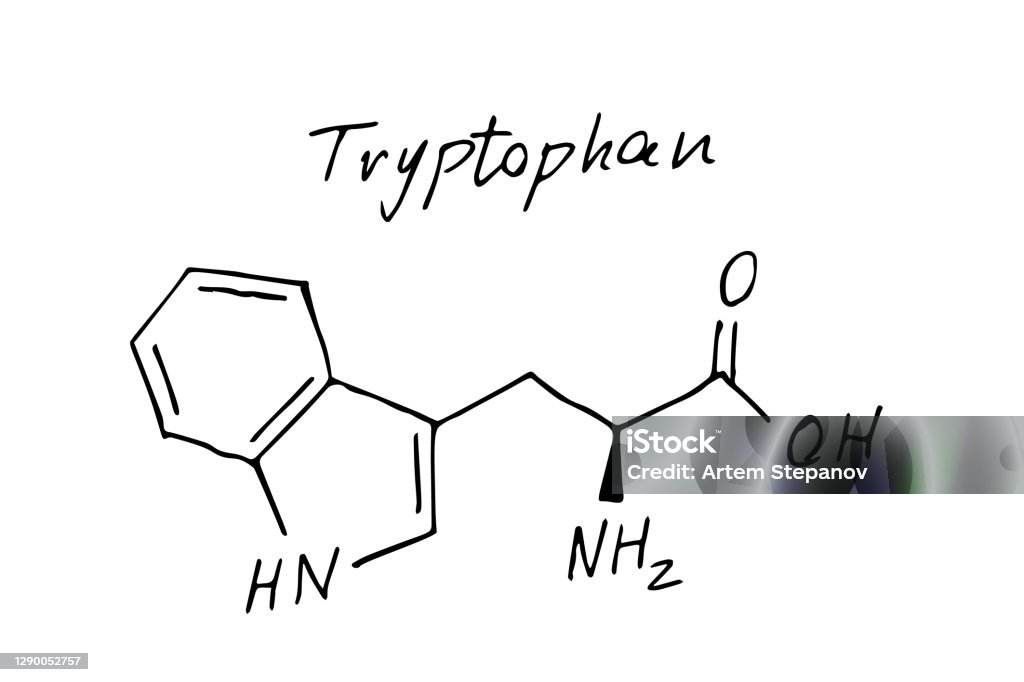 Tryptophan Chemistry Molecule Formula Hand Drawn Imitation Stock ... Tryptophan Chemistry Molecule Formula Hand Drawn Imitation Stock ...