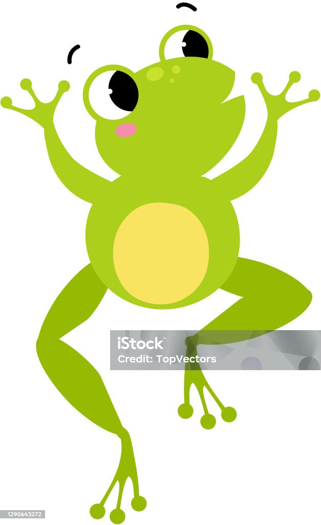Katak Hijau Lucu Dengan Ilustrasi Vektor Melompat Mata Yang Menonjol