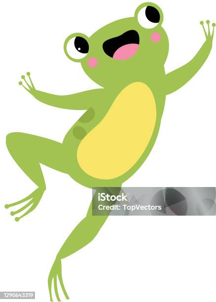 Katak Hijau Lucu Dengan Ilustrasi Vektor Melompat Mata Yang Menonjol