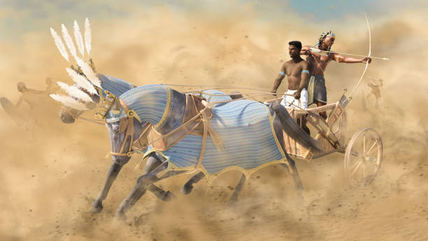 Chariot Pictures | Download Free Images on Unsplash