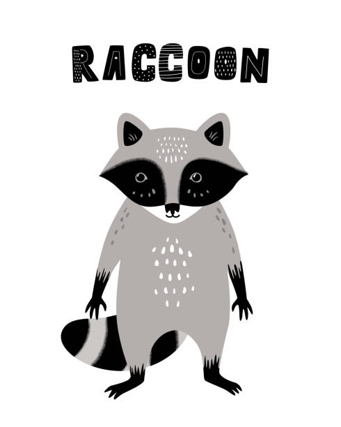 5 500 Dibujos De Mapaches Ilustraciones Gráficos Vectoriales Libres