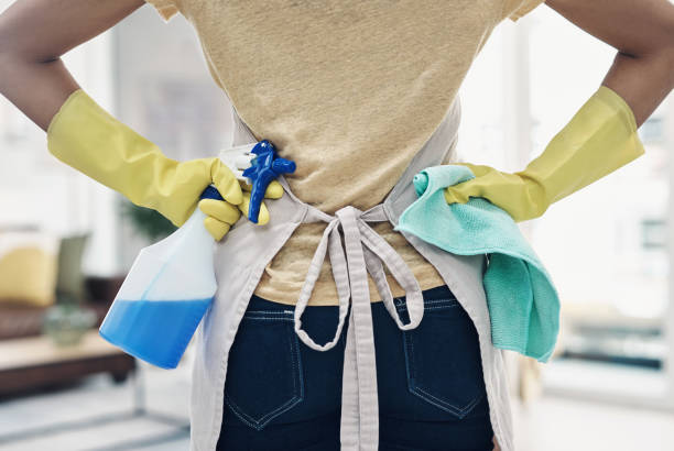 20+ Cleaning Pictures | Download Free Images & Stock Photos on Unsplash
