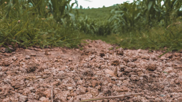 Rocky Road Pictures | Download Free Images on Unsplash