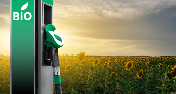 Biofuels Pictures | Download Free Images on Unsplash