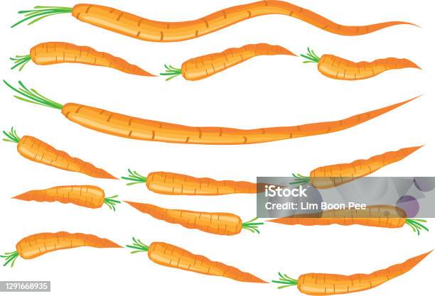 Ensemble De Frontière De Carottes De Dessin Animé De Vecteur Vecteurs