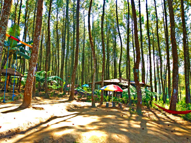 Batu Malang Pictures | Download Free Images on Unsplash