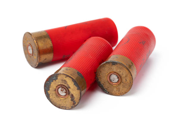 Free Stock Photo of Shotgun shells isolated on white | Download Free ...