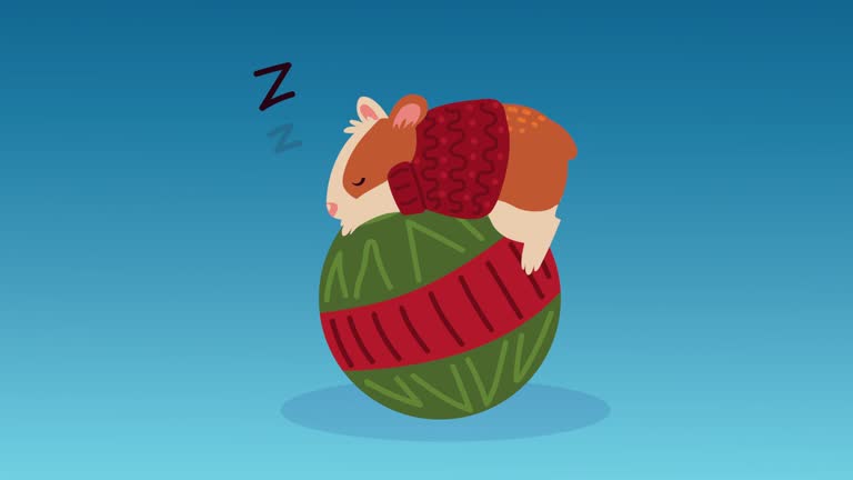 190 Hamster Sleeping Stock Videos And Royalty Free Footage Istock
