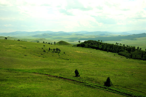 Steppes Pictures | Download Free Images on Unsplash