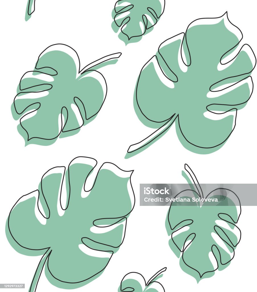 Vektor Mulus Pola Tangan Digambar Doodle Sketsa Daun Palem Monstera