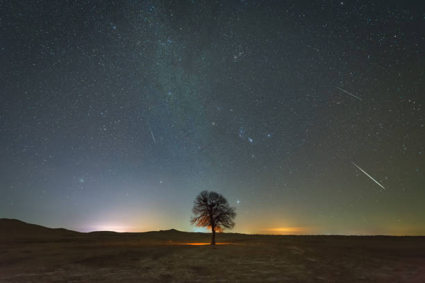 100+ Shooting Star Pictures | Download Free Images on Unsplash