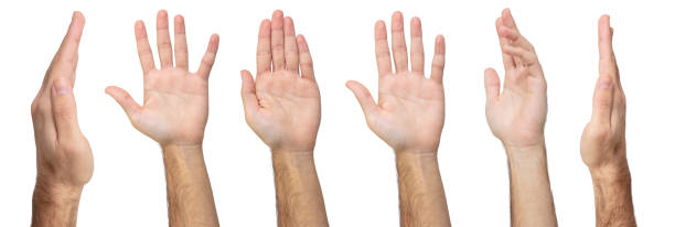 Open Hands Pictures | Download Free Images on Unsplash