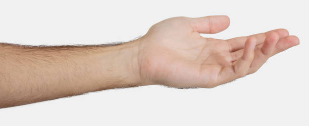 Left Hand Pictures | Download Free Images on Unsplash