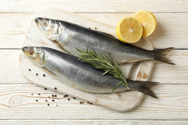 Herring Pictures | Download Free Images on Unsplash