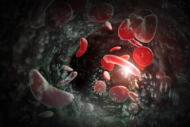 Sickle Cell Pictures | Download Free Images on Unsplash