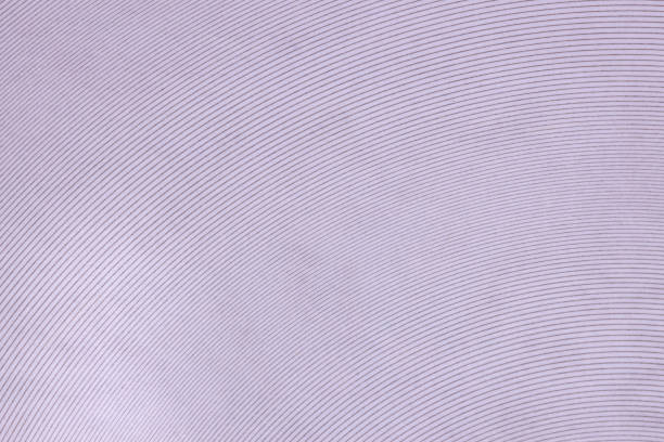 Money Texture Pictures | Download Free Images on Unsplash
