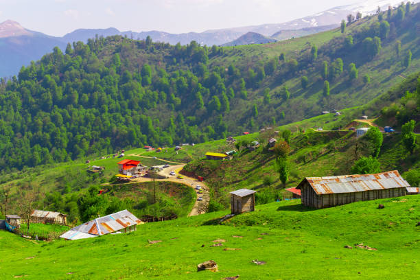 Gilan Pictures | Download Free Images on Unsplash