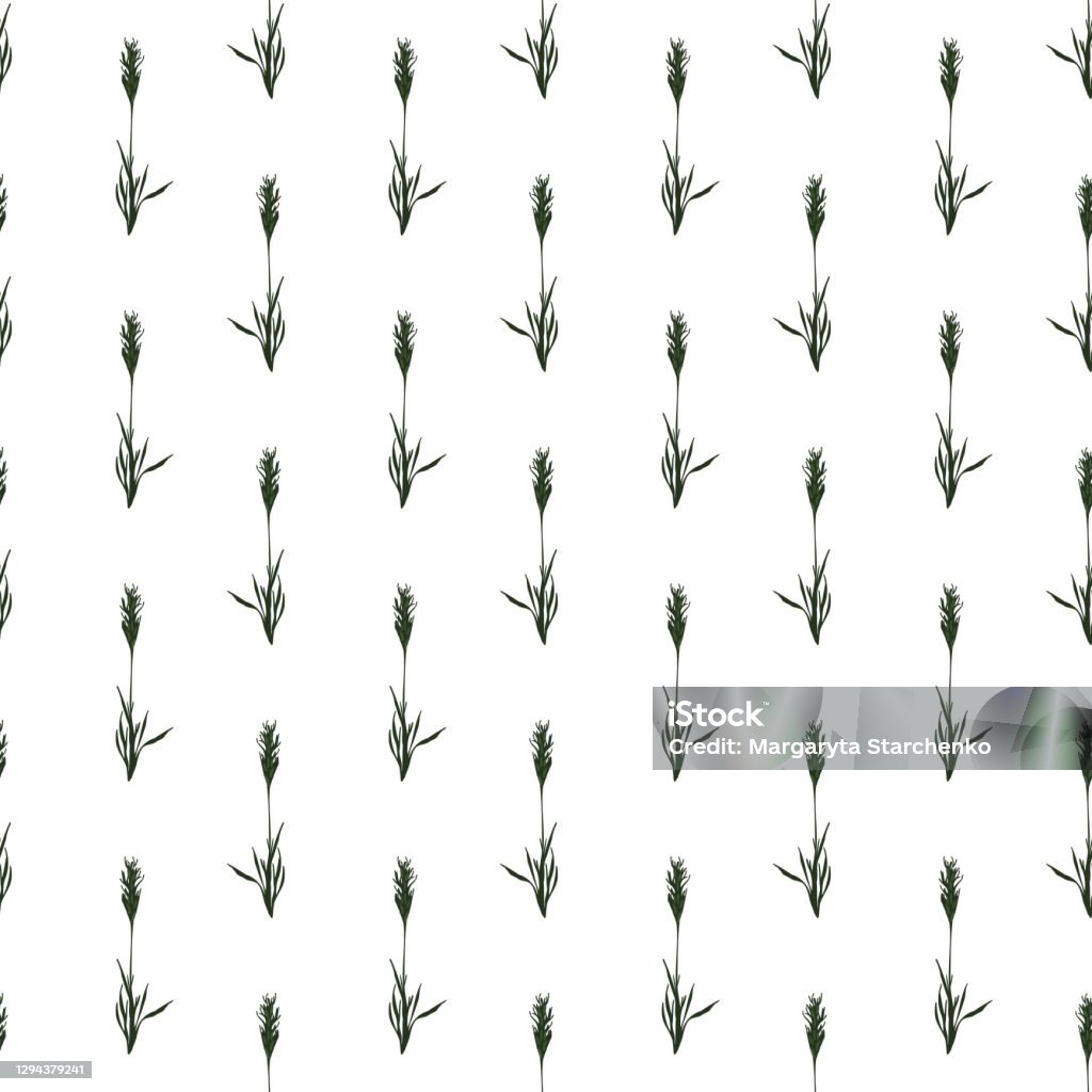 Simple Grass Pattern Stock Illustration Download Image Now Backgrounds Computer Graphic