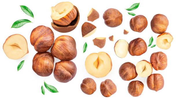 Hazelnut Pictures | Download Free Images on Unsplash