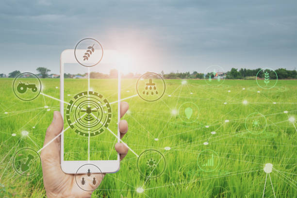 Smart Farm Pictures | Download Free Images on Unsplash