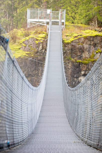 Elk Falls Suspension Bridge Pictures | Download Free Images on Unsplash