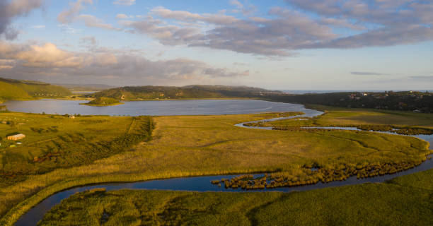 Knysna Pictures | Download Free Images on Unsplash