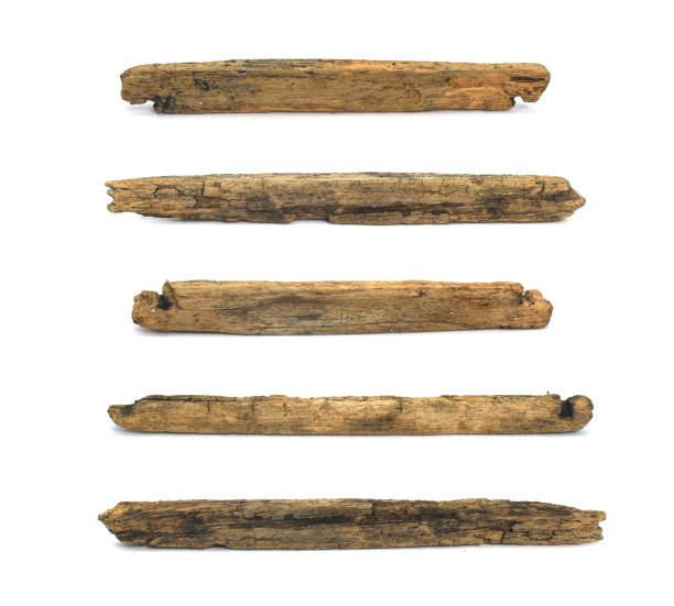 rotten firewood – free photo on Barnimages