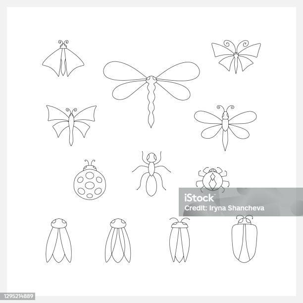 Icône De Collection Dinsecte De Doodle Isolatednon Blanc Art De Ligne