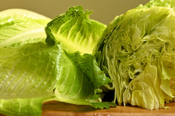Iceberg Lettuce Pictures | Download Free Images on Unsplash