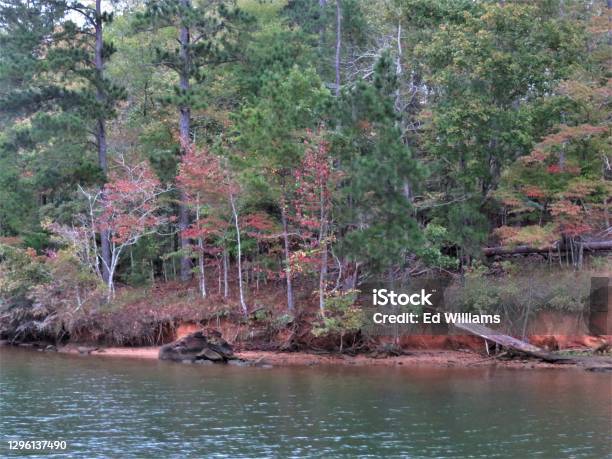 Rocky Woody Sinclair Shoreline Stock Photo - Download Image Now - Beach ... Rocky Woody Sinclair Shoreline Stock Photo - Download Image Now - Beach ...