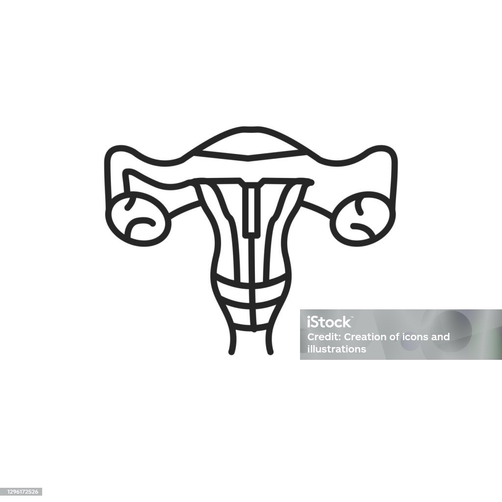 Contraceptive Spiral Black Line Icon Intrauterine Device Birth Control