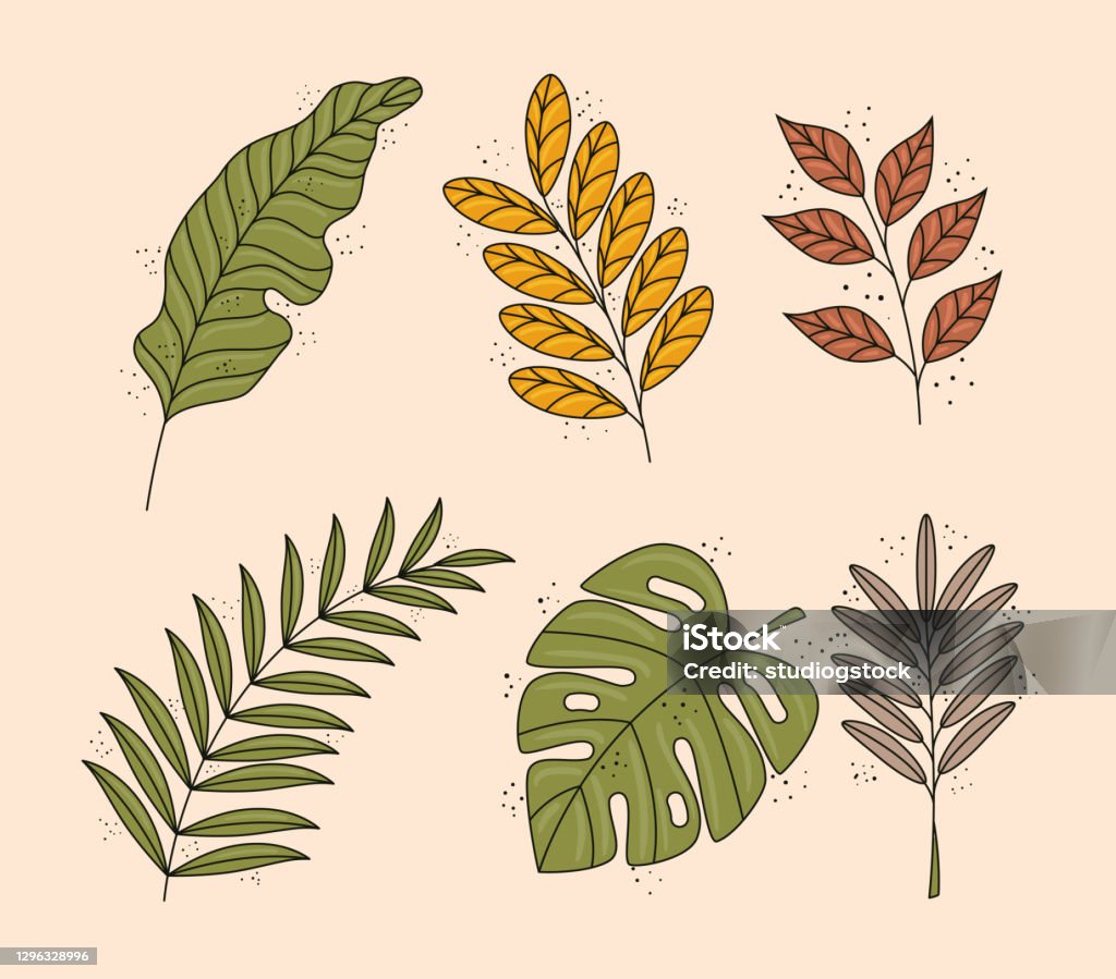 Bundel Enam Tanaman Daun Gaya Boho Ikon Alam Dekoratif Ilustrasi Stok