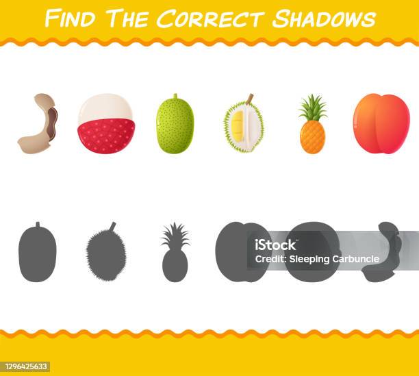 Trouvez Les Ombres Correctes Des Fruits De Dessin Animé Jeu De