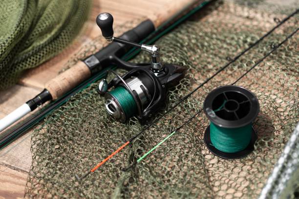 Fishing Line Pictures | Download Free Images on Unsplash