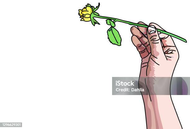 Illustration Dune Main Retenant Une Rose Simple Vecteurs Libres De