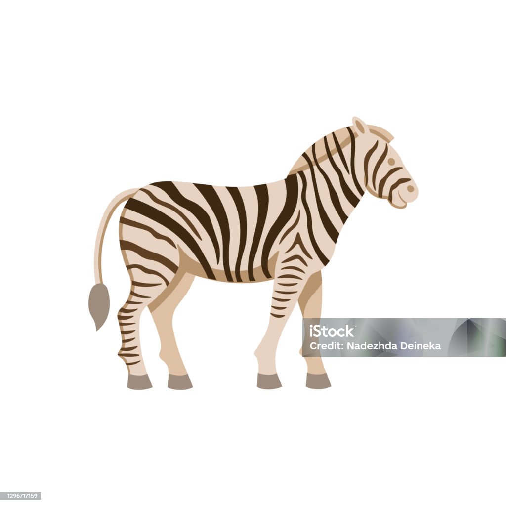 Kartun Zebra Di Latar Belakang Putih Ilustrasi Kartun Datar Untuk ... Kartun Zebra Di Latar Belakang Putih Ilustrasi Kartun Datar Untuk ...