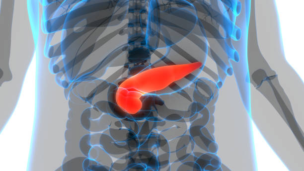 Type 2 Diabetes Pictures | Download Free Images on Unsplash