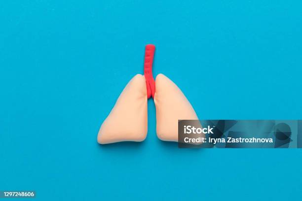 Pengobatan Dan Pencegahan Paruparu Penyakit Pernapasan Pneumonia Virus