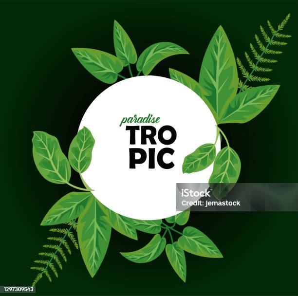 Kata Tropis Dalam Bingkai Melingkar Dengan Daun Tanaman Poster Alam ... Kata Tropis Dalam Bingkai Melingkar Dengan Daun Tanaman Poster Alam ...