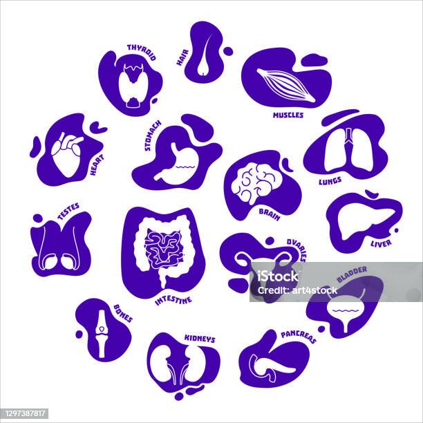 Ensemble Humain Dicône De Pictogramme De Silhouette Dorganes De Corps