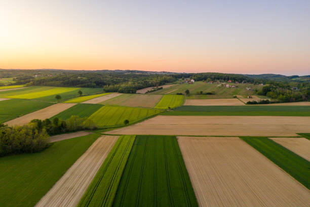 1500+ Ground Pictures | Download Free Images on Unsplash