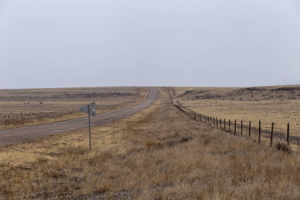 Free Stock Photo of Long Empty Road Cutting Through Field | Download ...