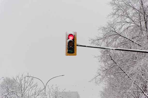 Free Stock Photo of Snowy traffic lights | Download Free Images and ...