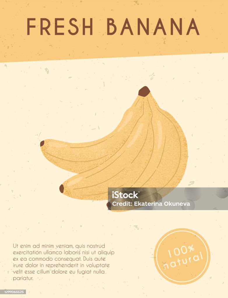 Ripe Banana Card Design Sweet Banana Fruit Vector Hand Drawn Poster Concept Bright Tasty