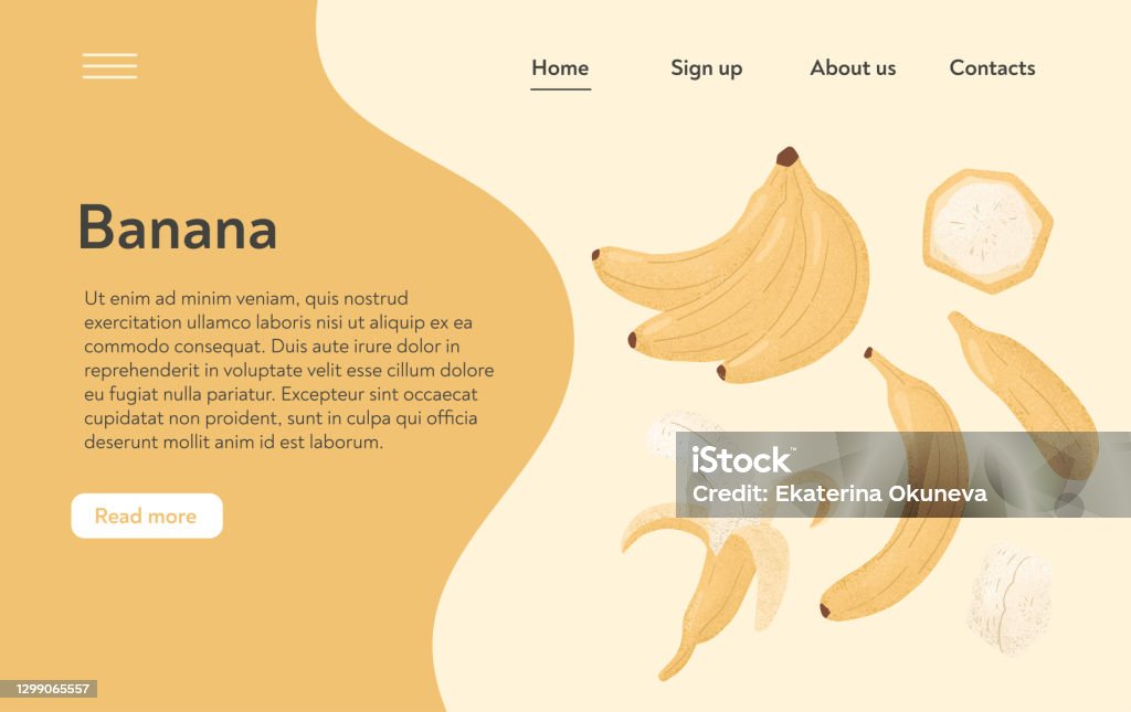 Ripe Banana Landing Page Design Sweet Banana Fruit Vector Hand Drawn Website Concept Bright
