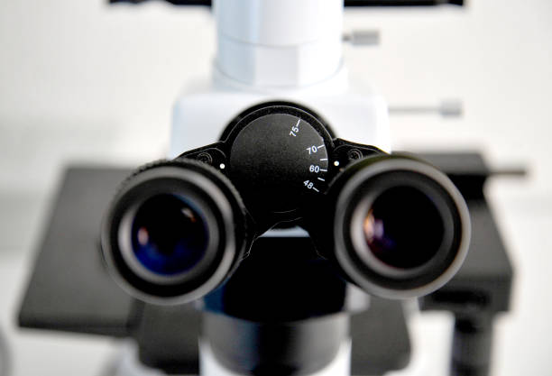 Microscope View Pictures | Download Free Images on Unsplash