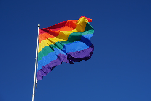 Bendera Kebanggaan Lgbt Atau Bendera Kebanggaan Pelangi Meliputi