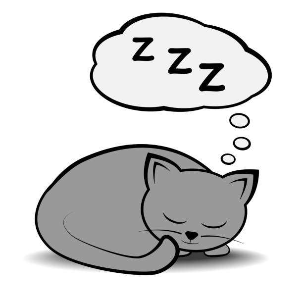 870+ Cat Curled Up Stock Illustrations, Royalty-Free Vector Graphics ... 870+ Cat Curled Up Stock Illustrations, Royalty-Free Vector Graphics ...
