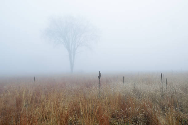Neutral Landscape Pictures | Download Free Images on Unsplash