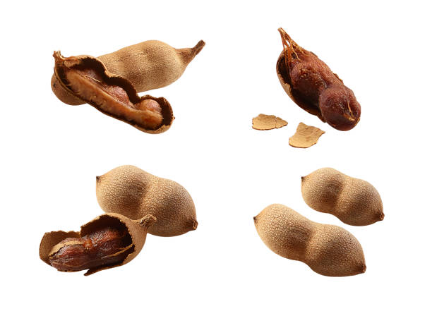 Tamarind Pictures | Download Free Images on Unsplash